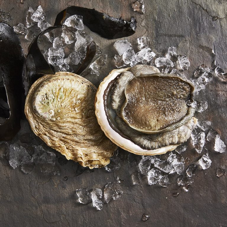 Abalone - I&J
