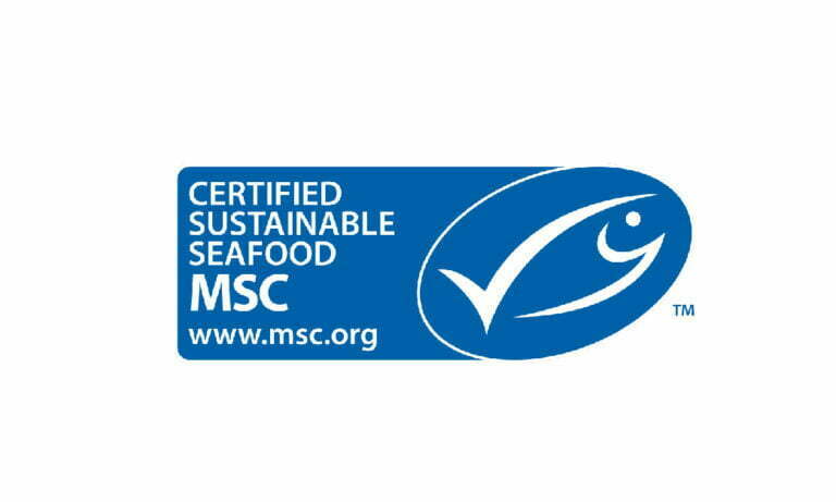 MAASBANKER / HORSE MACKEREL (Trachurus trachurus) - I&J