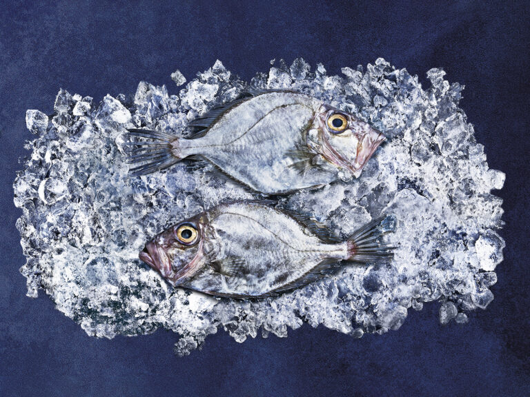 Wholefish - I&J